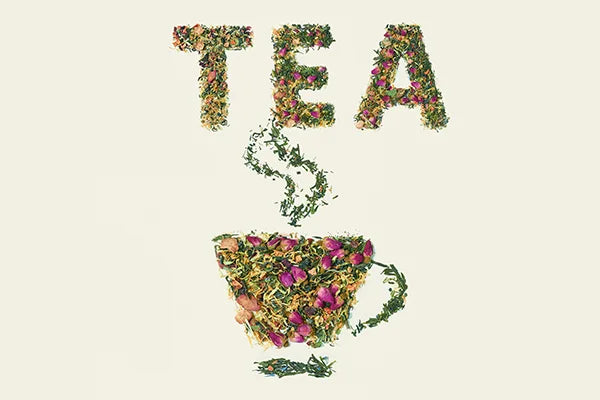 History of Tea: Unveiling its Origin and Evolution – Teapigs Australia